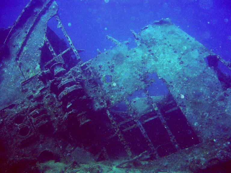 Fear of Boats and Open Water: Why the Ocean Feels So Unsafe for Some People