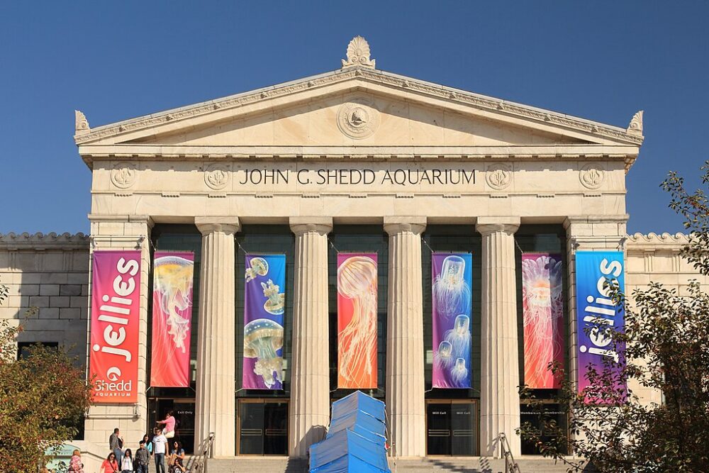 15 Illinois indoor attractions that fit easily into a weekend