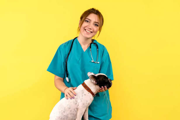 Dogs Can Smell Cancer Before Symptoms Appear