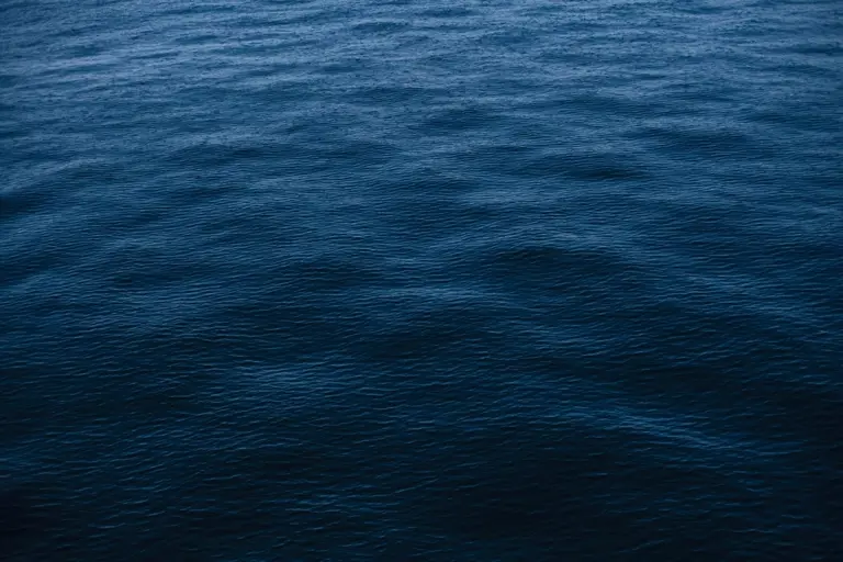 Fear of Boats and Open Water: Why the Ocean Feels So Unsafe for Some People