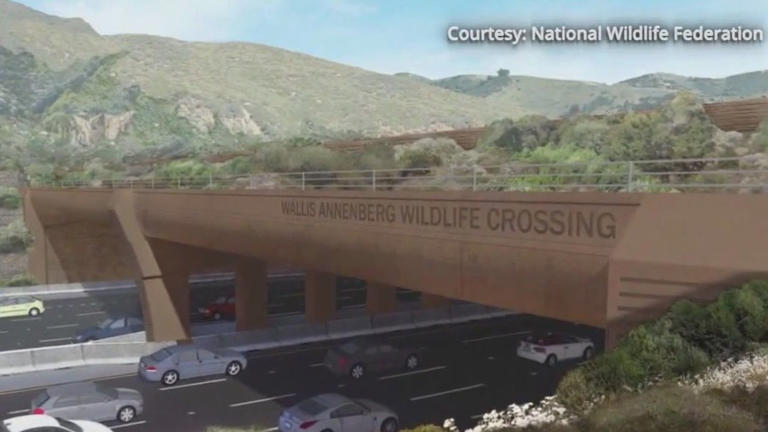 Historic wildlife bridge nears completion in Agoura Hills