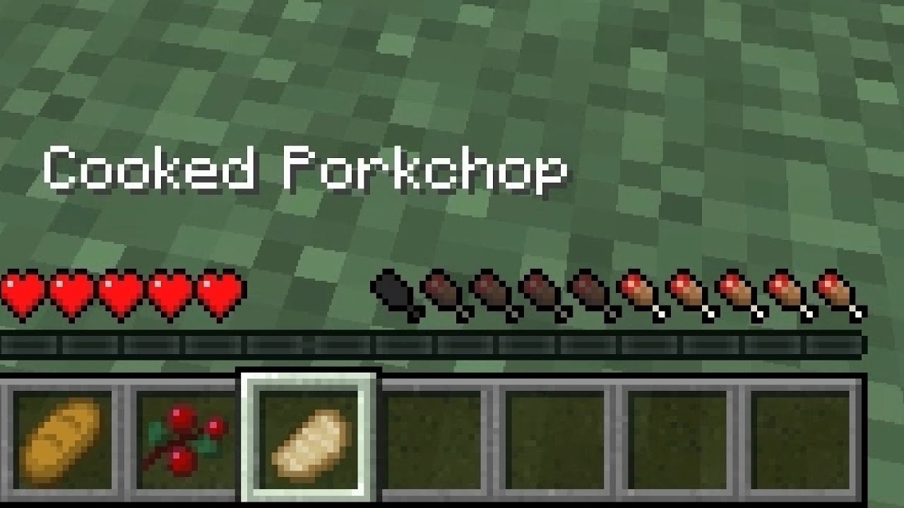 Minecraft Hunger Bar Display