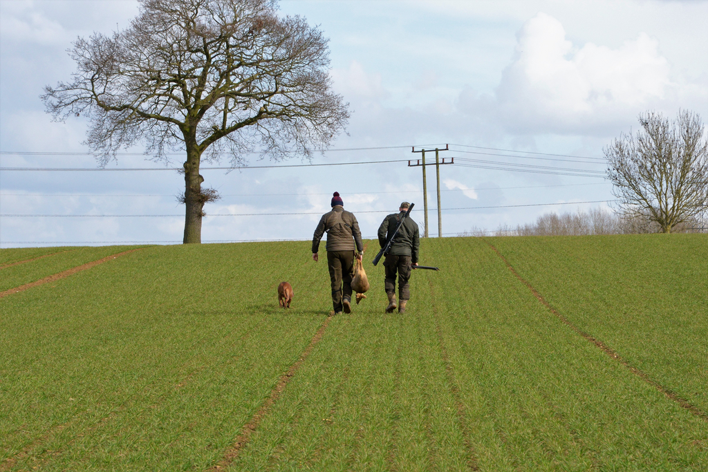 Florida Confirms a Second Case of ‘Zombie Deer Disease’: What Hunters ...