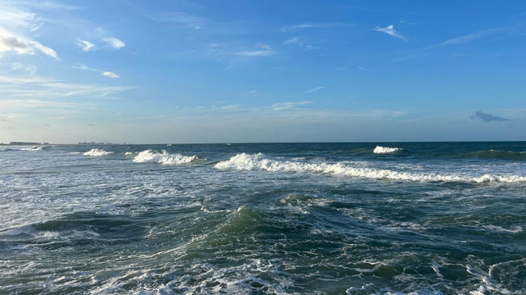 Avoid This Quaint Florida Beach Near New Smyrna That Has Murky Waters ...
