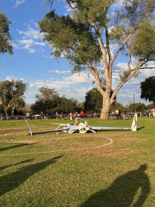 Woman hit by plane in soccer field, survives