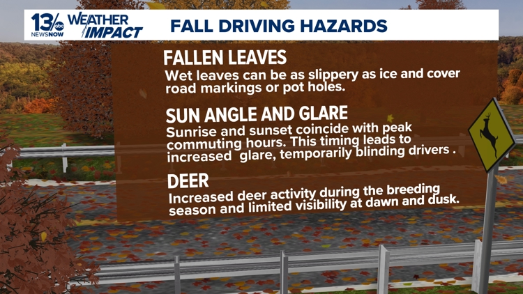 Fall driving hazards: Wet leaves and sun glare require extra caution
