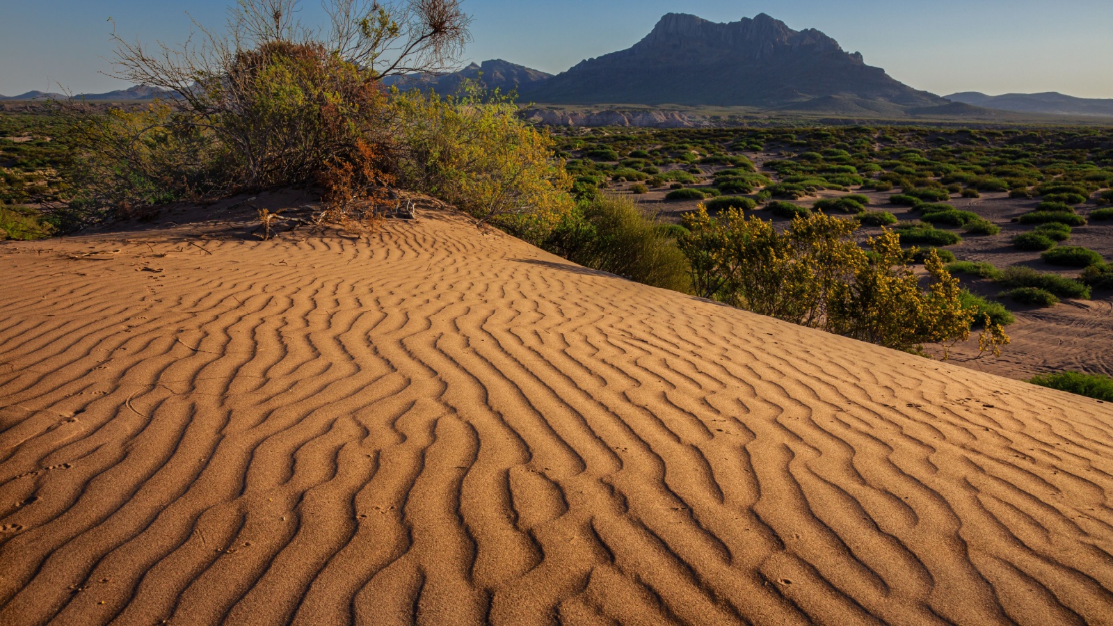 Luxury desert resorts in Arizona where relaxation meets endless views