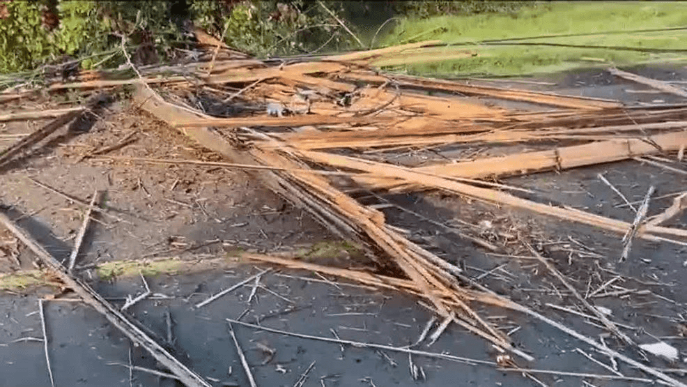 Traffic crash and downed powerlines close Springfield's 35th St.