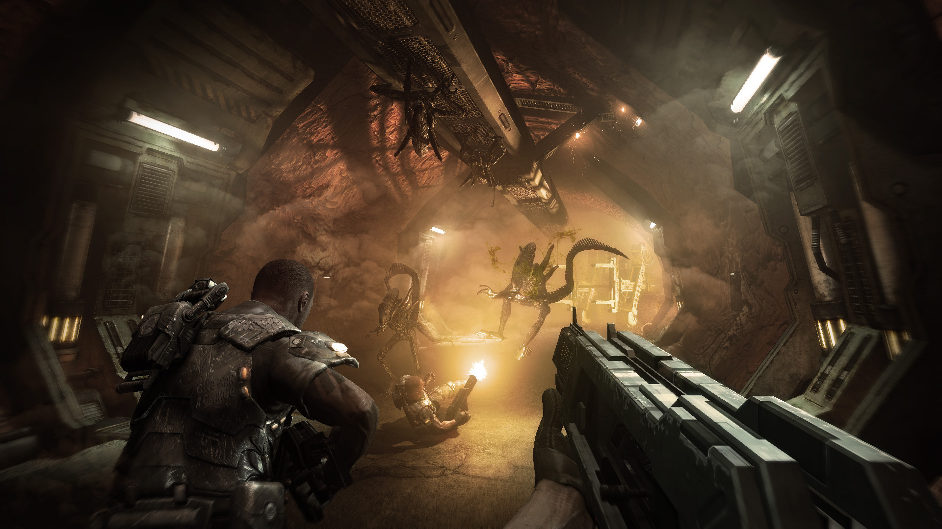 15 Dead Multiplayer Games That Deserved to Live