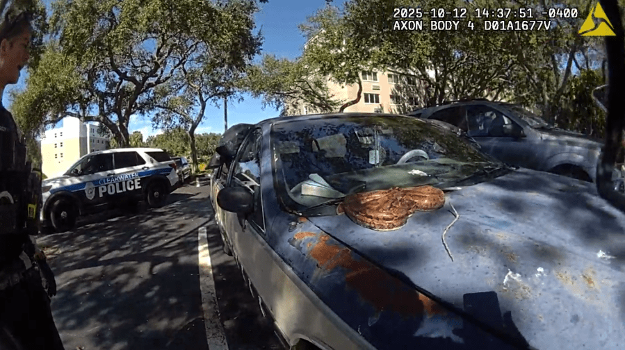 Florida police remove 5-foot boa constrictor from woman’s car