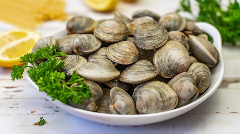 Soft Shell Clams Vs Hard Shell Clams: What's The Difference?
