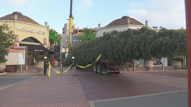 115-foot tall Christmas tree arrives at Southern California mall