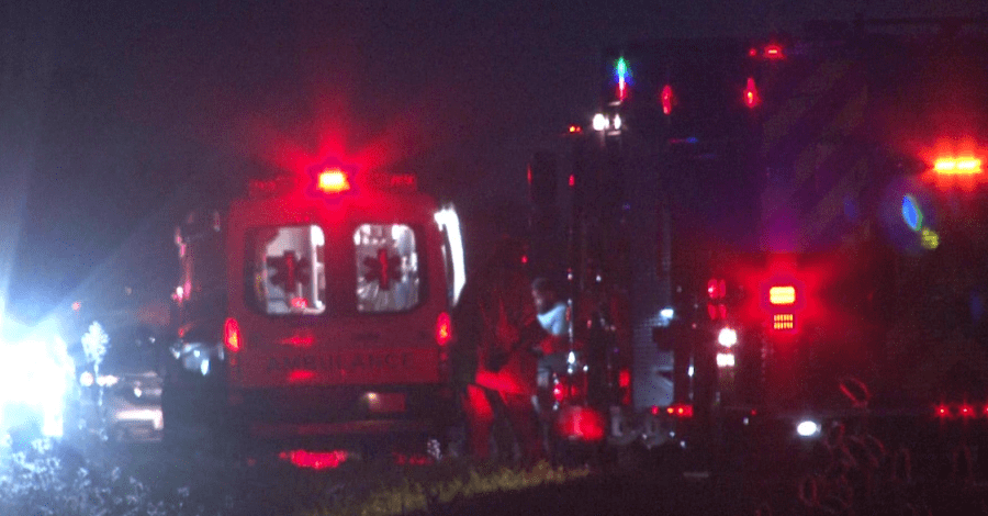 Driver killed after deer smashes through windshield