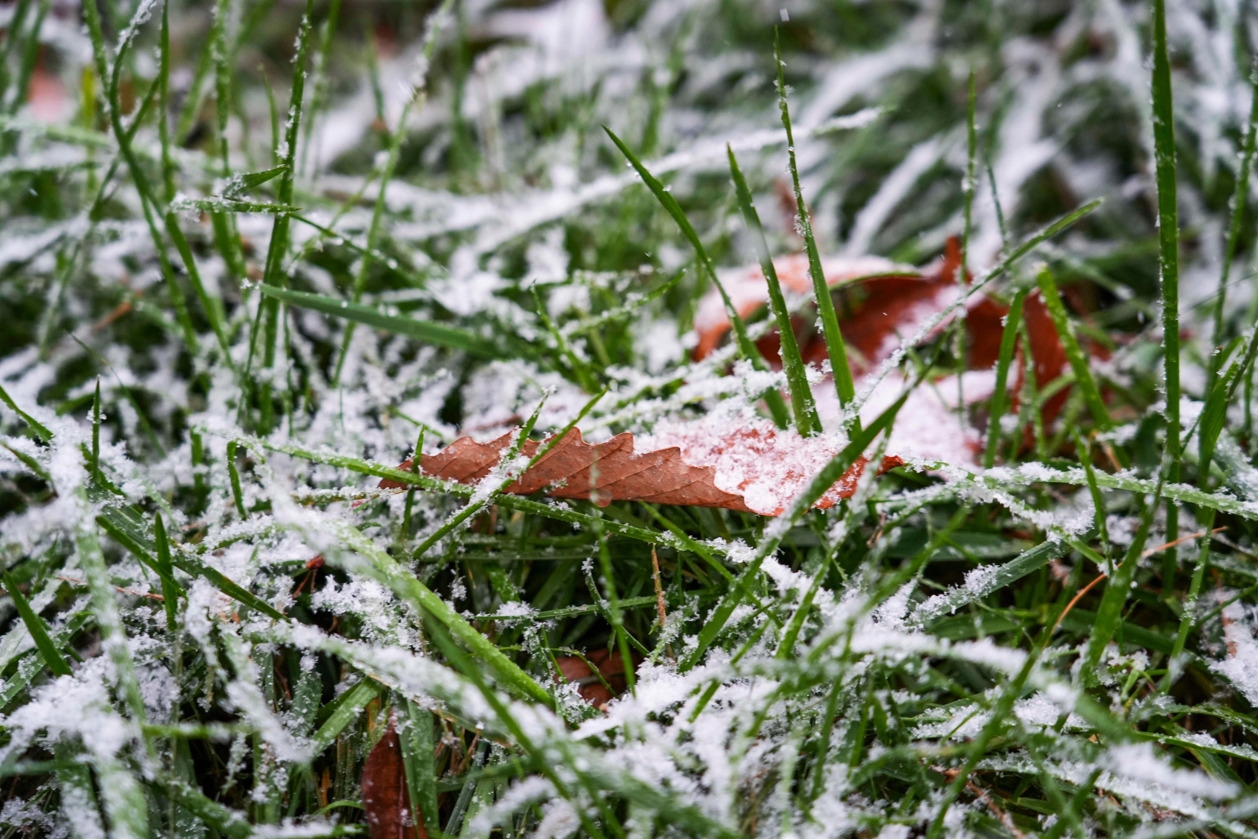 Season's first snow could be here soon. Cincinnati weather forecast