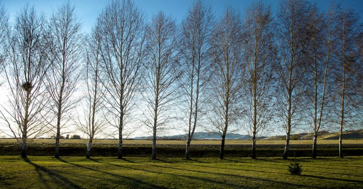 The Mountain Towns in Idaho’s Wood River Valley Locals Say Are Losing ...