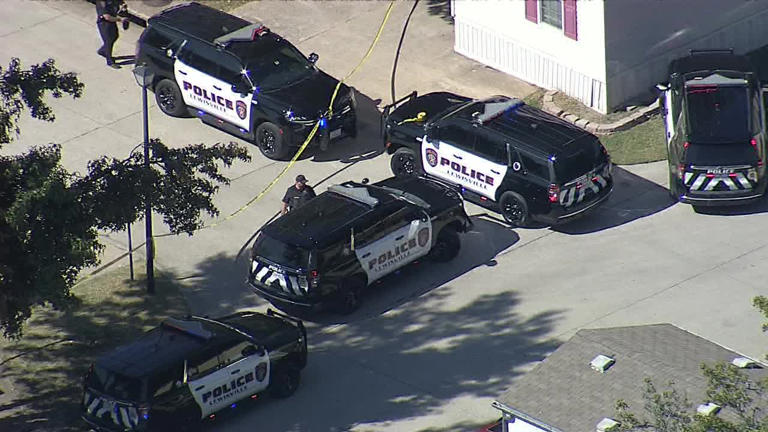 Man accused of killing woman, turning gun on himself in Lewisville