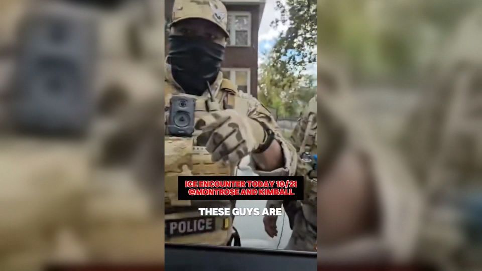 Illinois state representative says ICE agents pointed a gun at him and ...