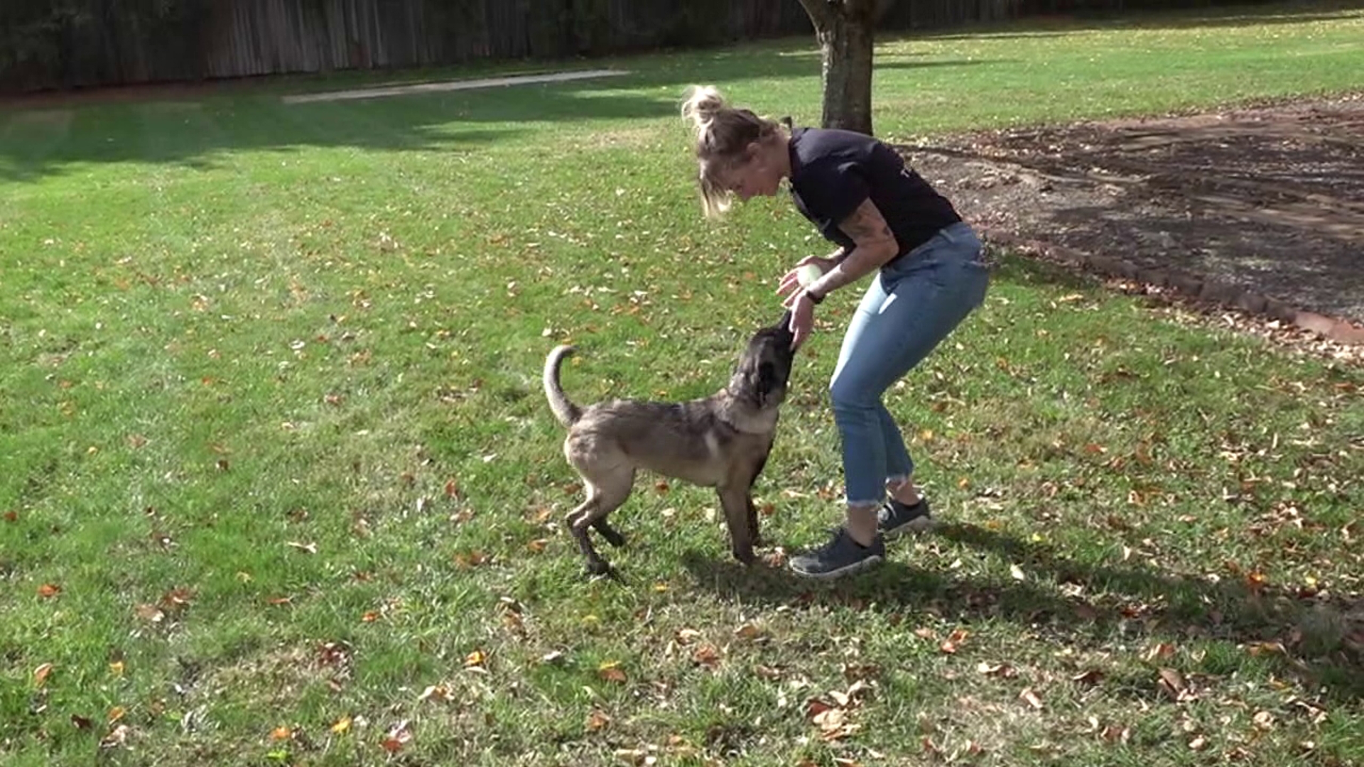 The Safe Haus aims to provide safe haven for animals in need