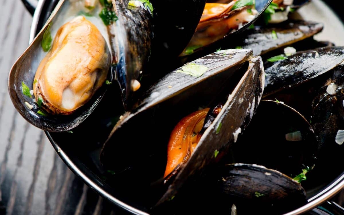 20 Seafood Recipes That Bring Fresh Ocean Flavor to Your Kitchen