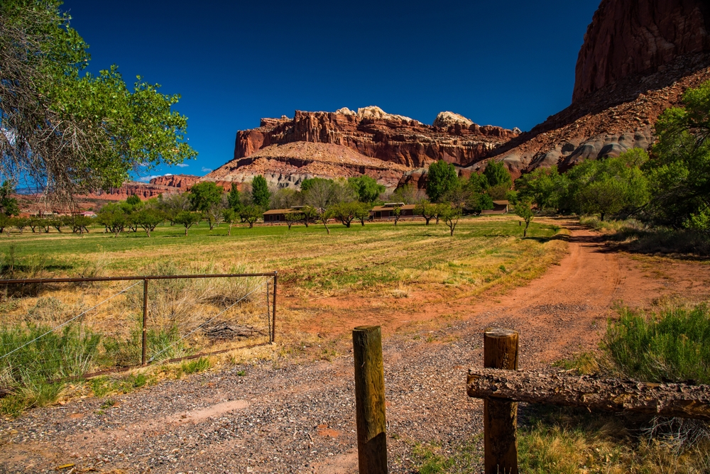 Where to find Utah’s “Garden of Eden” in Capitol Reef