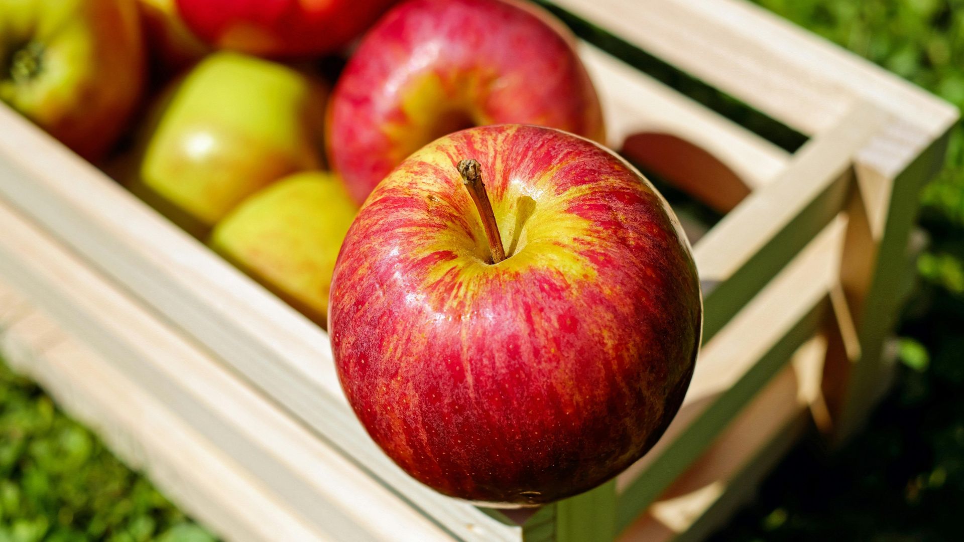 20 Healthy Foods That Help Regulate Bowel Movements