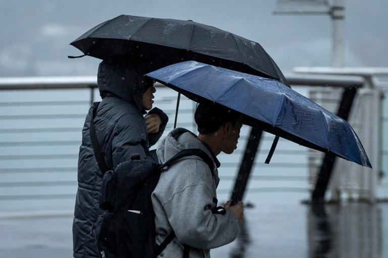 Severe spring storm brings damaging winds, heavy rain to Alberta