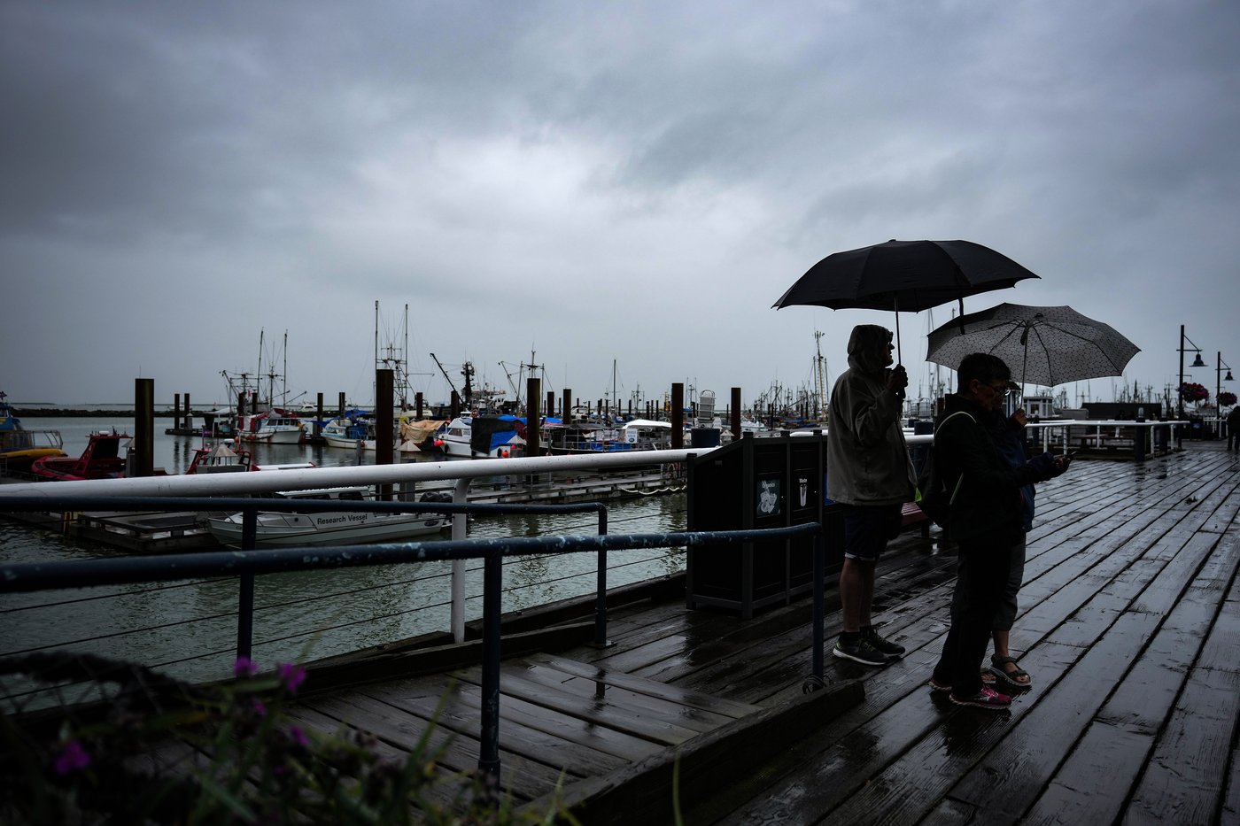 Strong winds, heavy rain and high river levels predicted for coastal ...