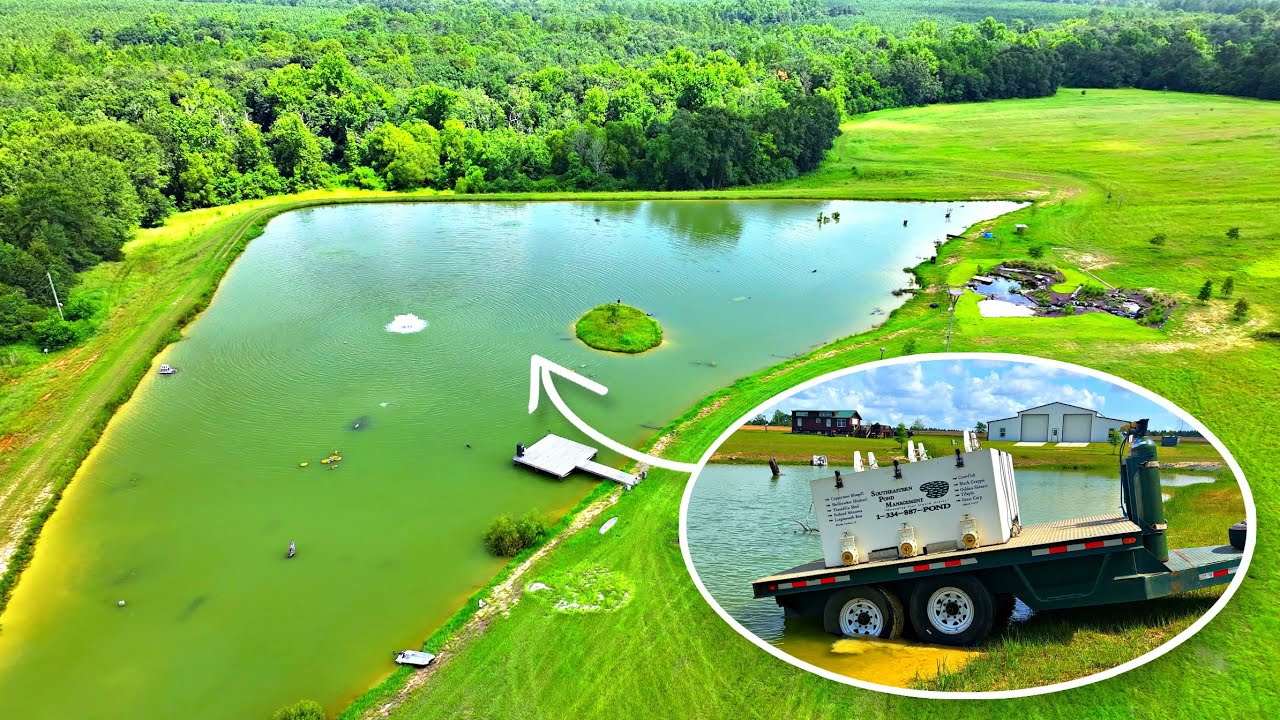 Emergency fish stocking at the 5 acre pond!