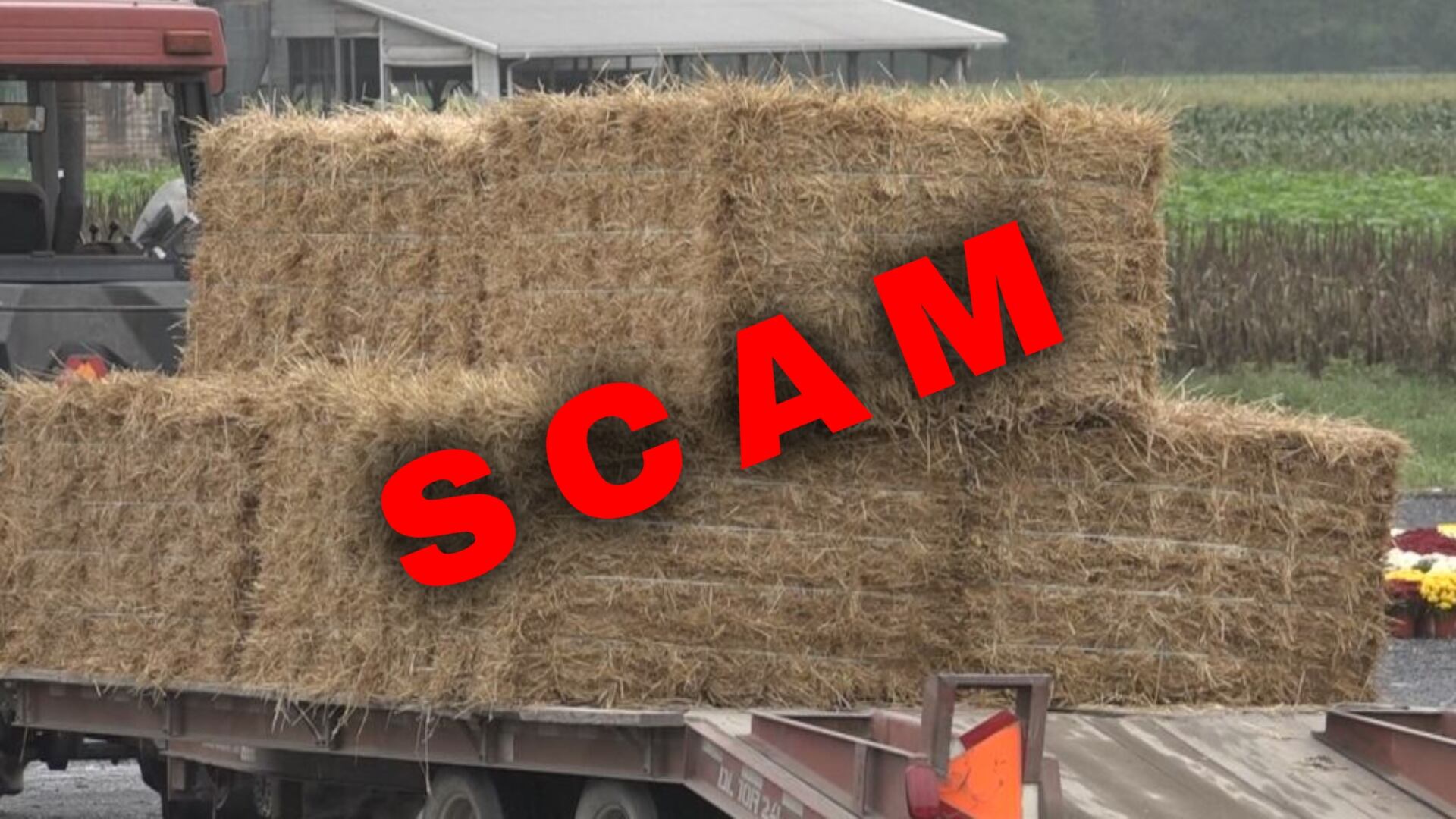 Door-to-door straw scam returns to Metter, police say