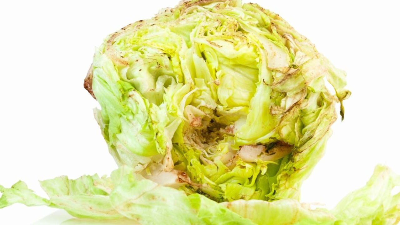 10 Signs That Mean Your Lettuce Has Root Rot