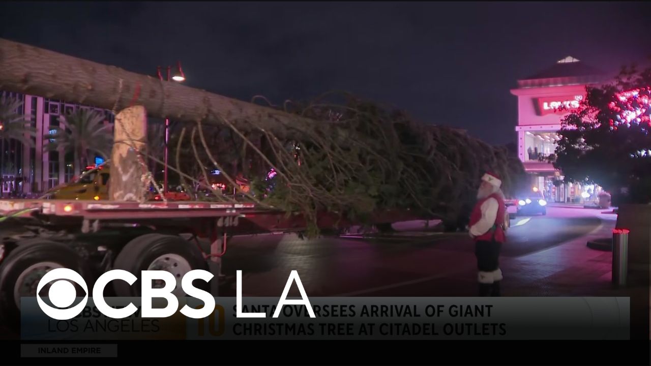 Santa oversees the arrival of Citadel Outlets giant Christmas tree