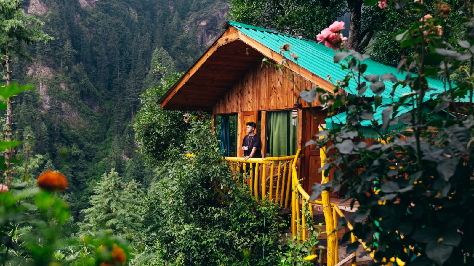 Luxury treehouse resorts tucked away in national forests