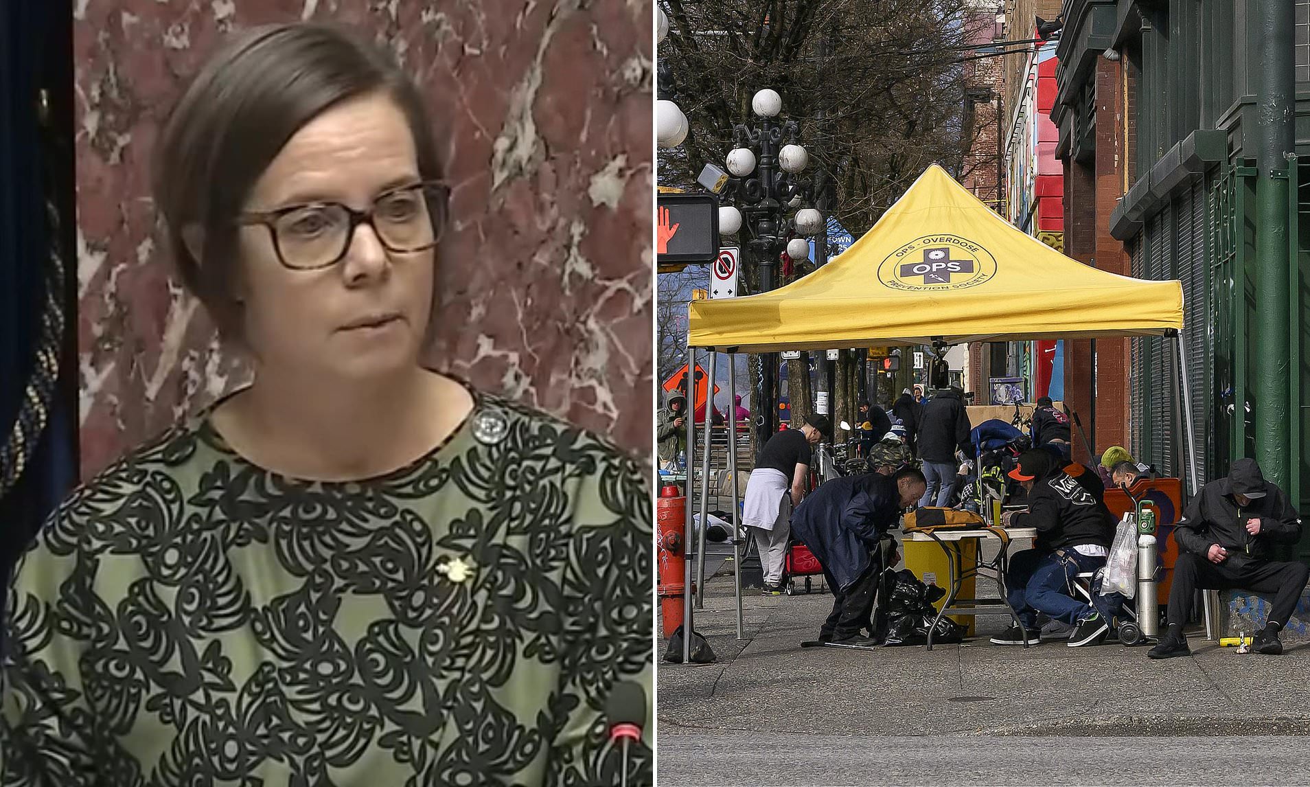 Woke Canadian lawmaker says children should NOT be discouraged from ...