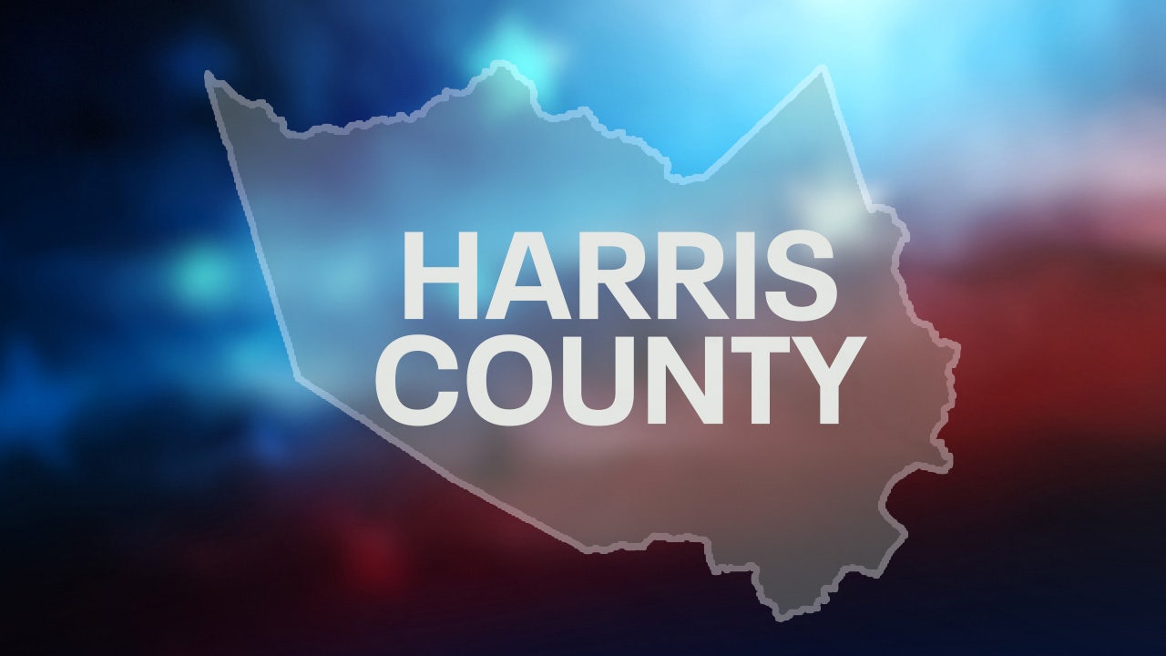 Harris County sample ballots for May 26, 2026 Texas runoff elections