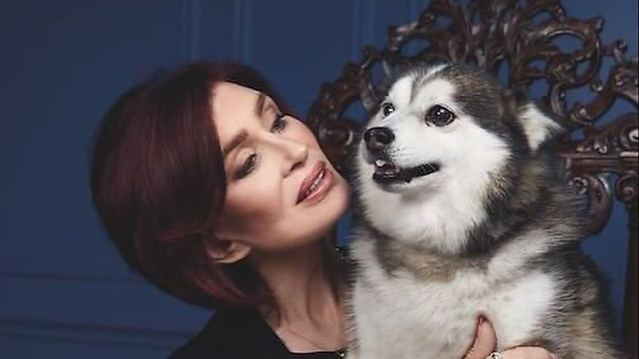 Sharon Osbourne afslører, at hun har mistet endnu et familiemedlem ...
