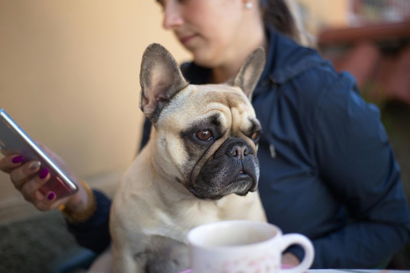 10 Signs That Your Dog Hasn’t Bonded With You Properly
