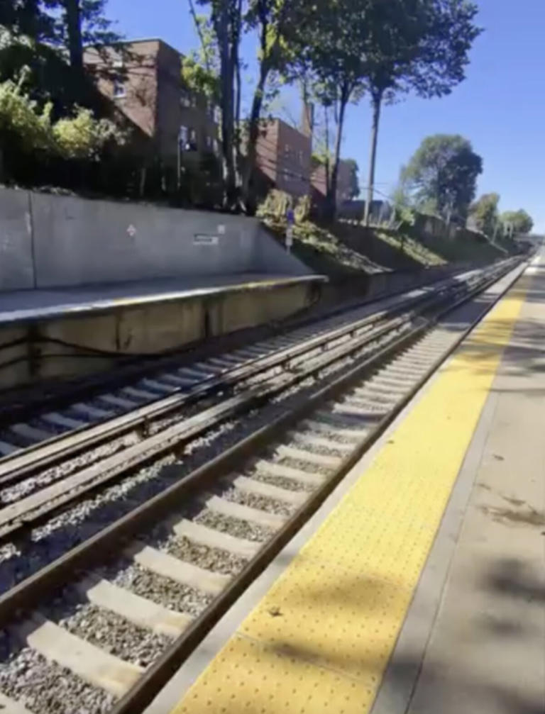 Commuters Hear Screaming On Train Tracks And Find Fluffy Baby In ...