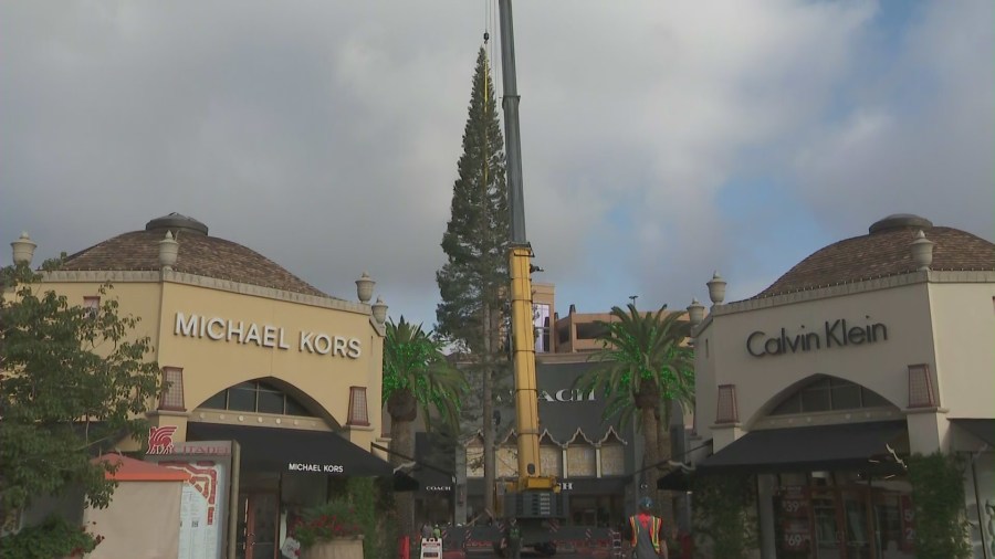 115-foot tall Christmas tree arrives at Southern California mall