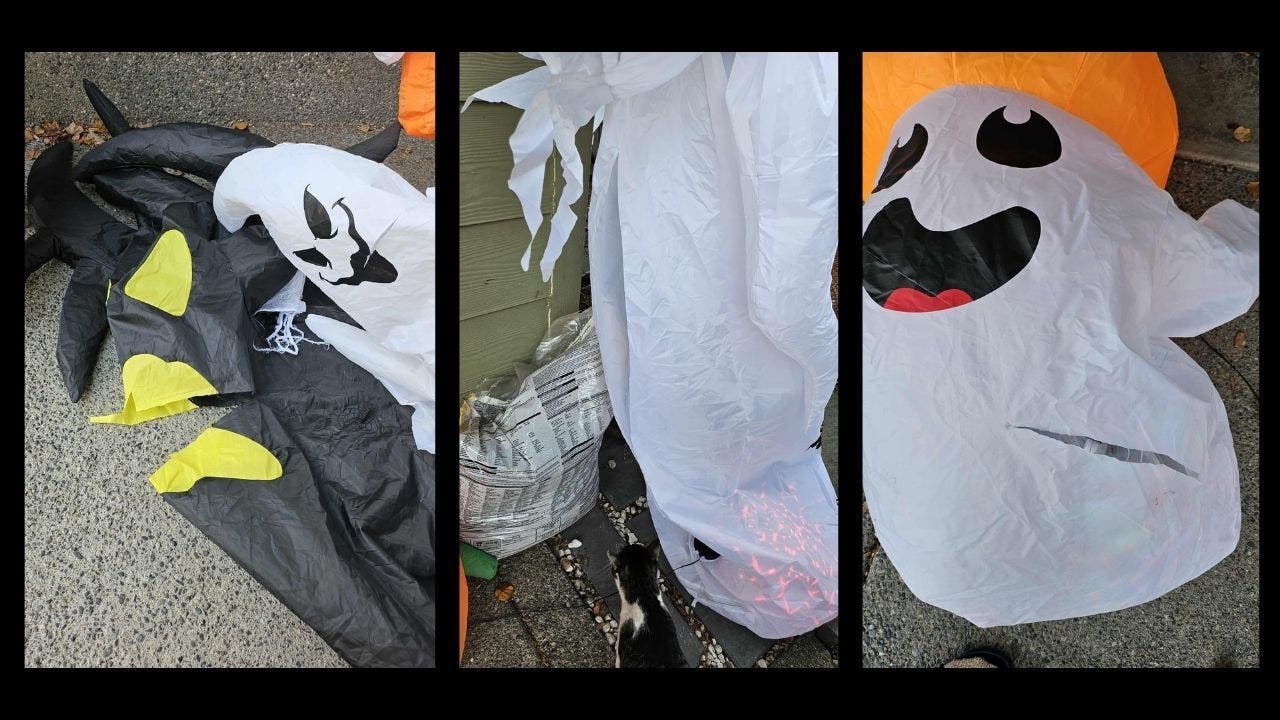 Auburn police search for kids caught on video vandalizing Halloween ...