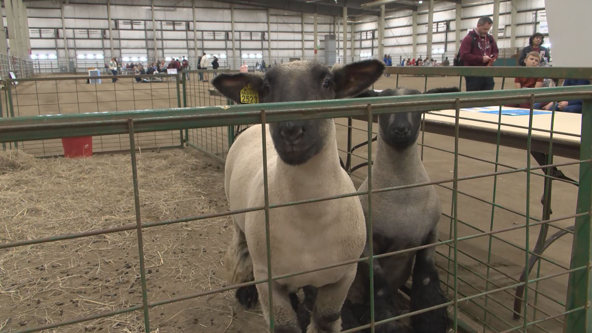 Lancaster County students learn about Nebraska farms at Ag Literacy ...