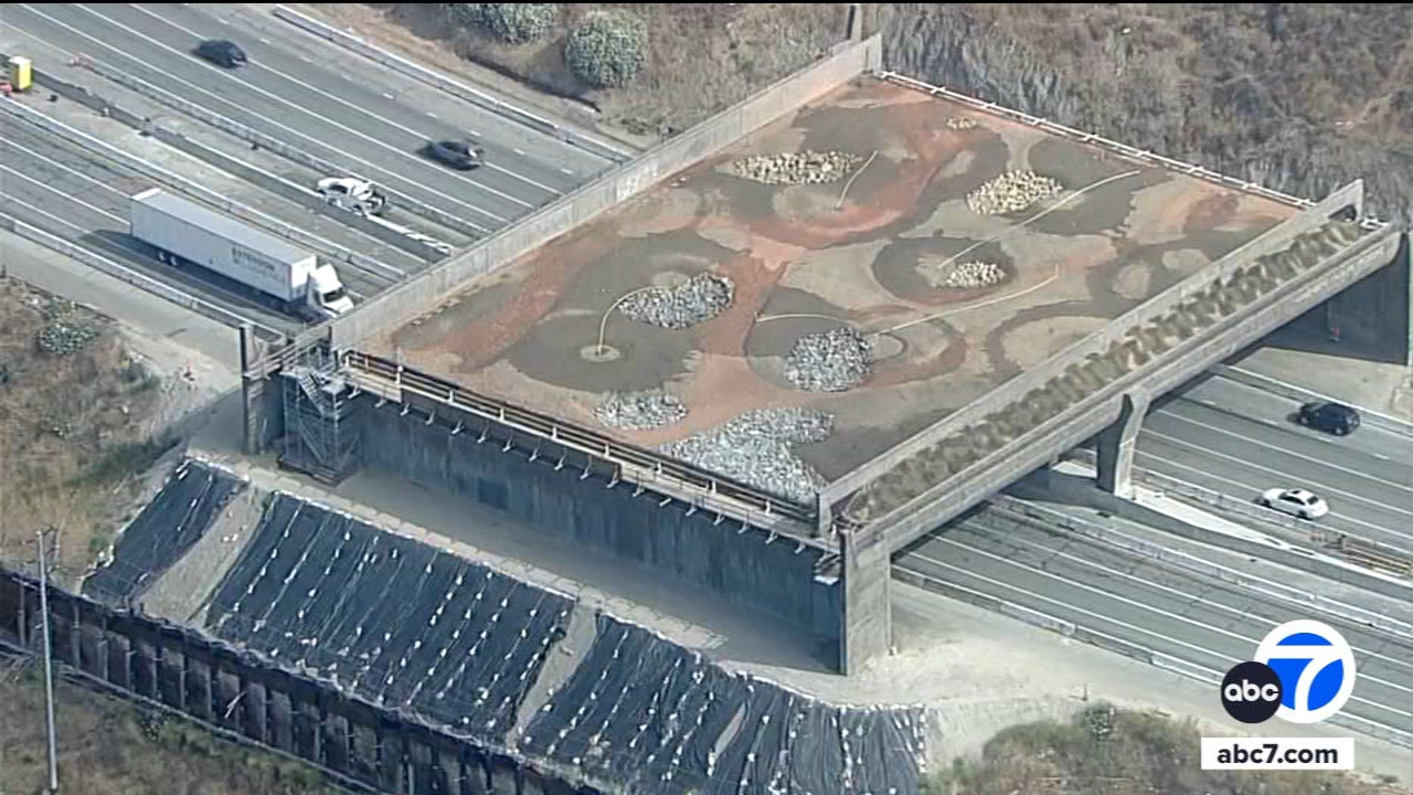 Native plants take root on wildlife crossing over 101 Freeway in Agoura ...