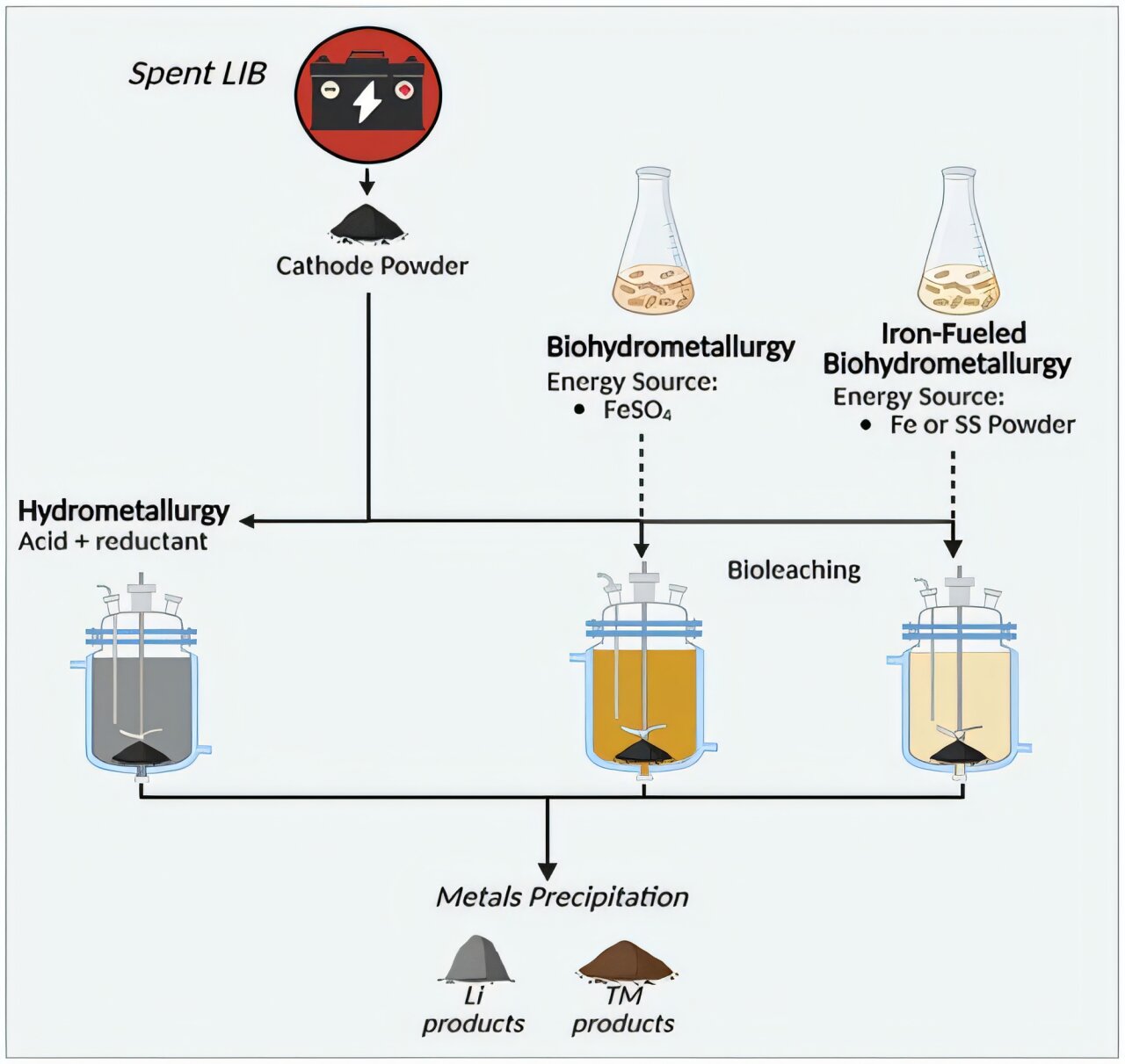 Feeding off spent battery waste, a novel bacterium signals a new method ...