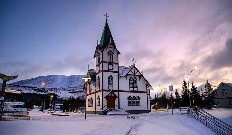 Mosquitoes found in Iceland for first time ever after record-breaking heat