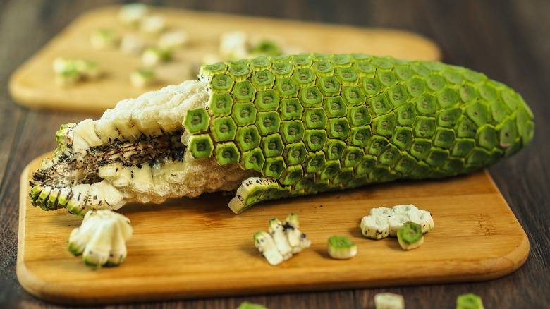 Meet The Monstera Deliciosa, The Russian Roulette Of Fruit