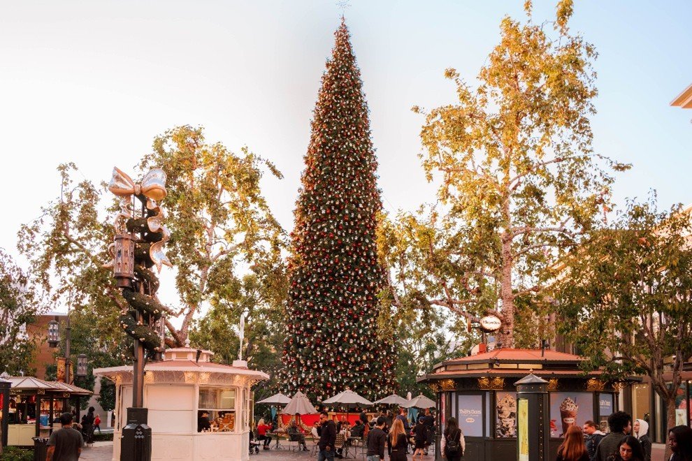 100-FOOT CHRISTMAS TREE ARRIVAL AT THE GROVE, LA