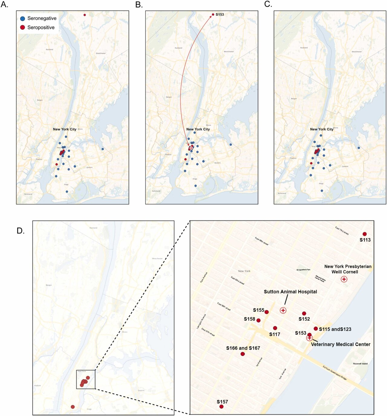 Cats caught coronavirus from owners during early pandemic