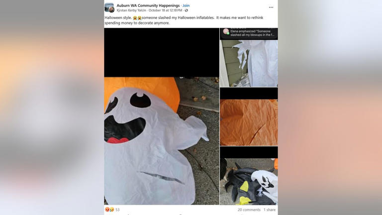 Auburn police search for kids caught on video vandalizing Halloween ...