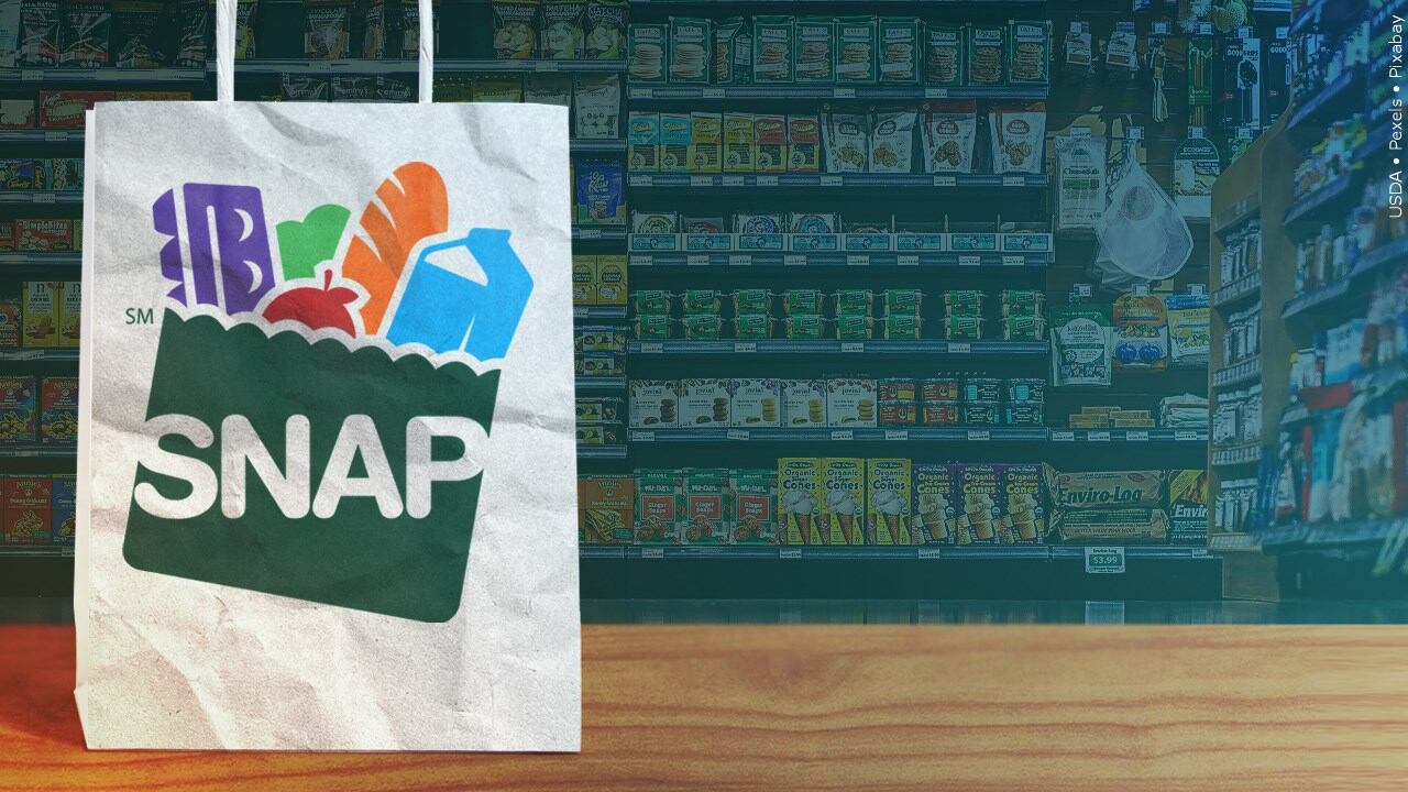 DSS issues guidance for SNAP in SC as government shutdown threatens ...