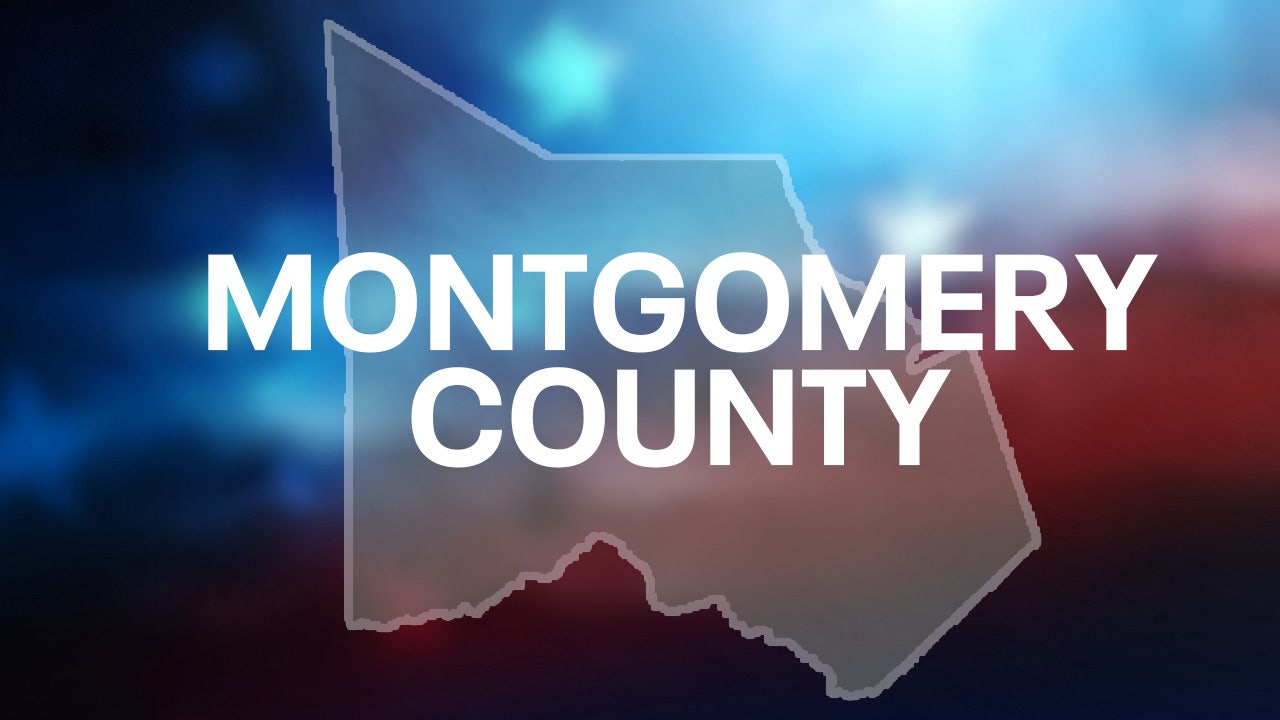 Montgomery County sample ballots for May 26, 2026 Texas runoff elections
