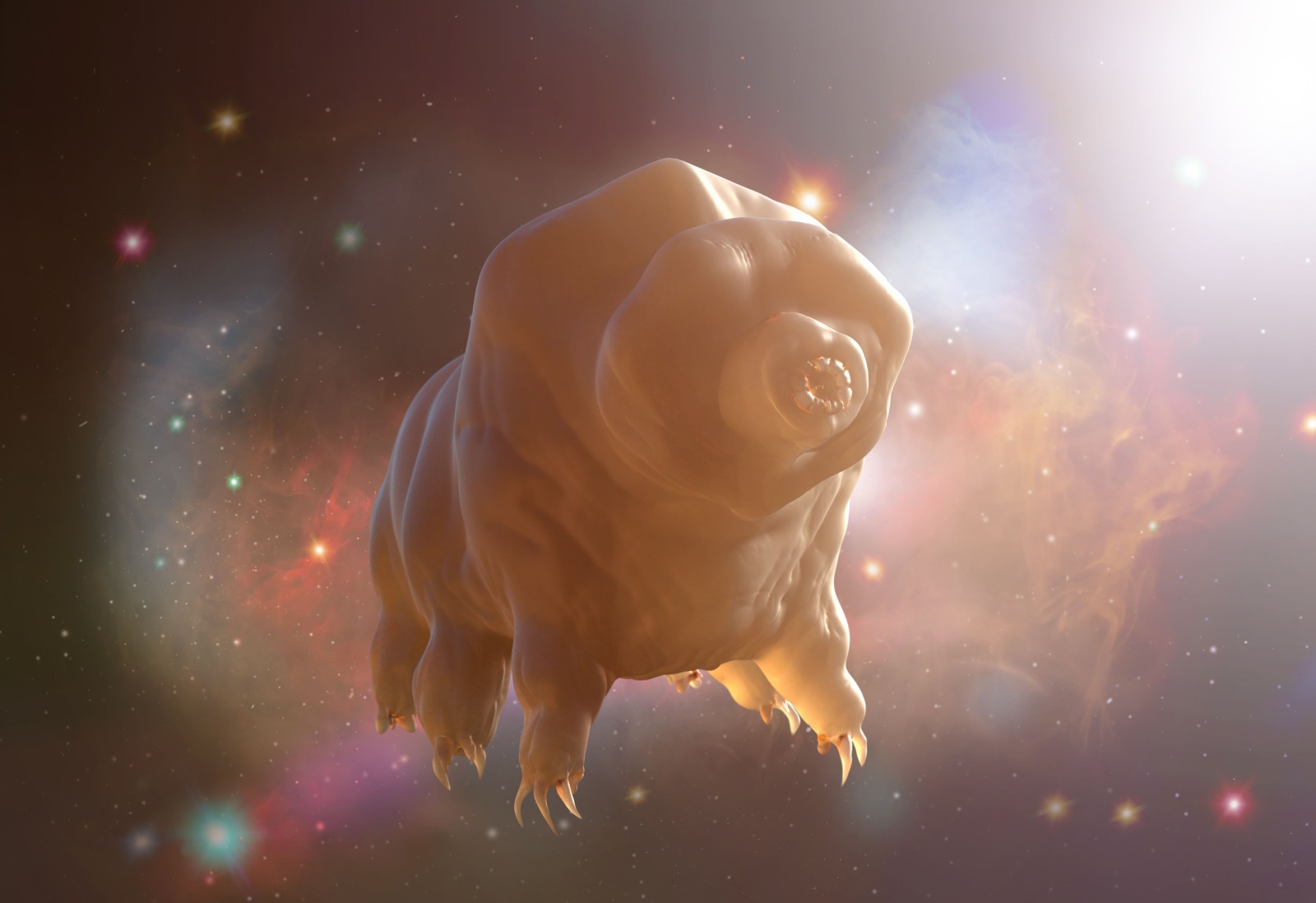 Meet The Tardigrade, The Tiny Animal That Can Survive In Space